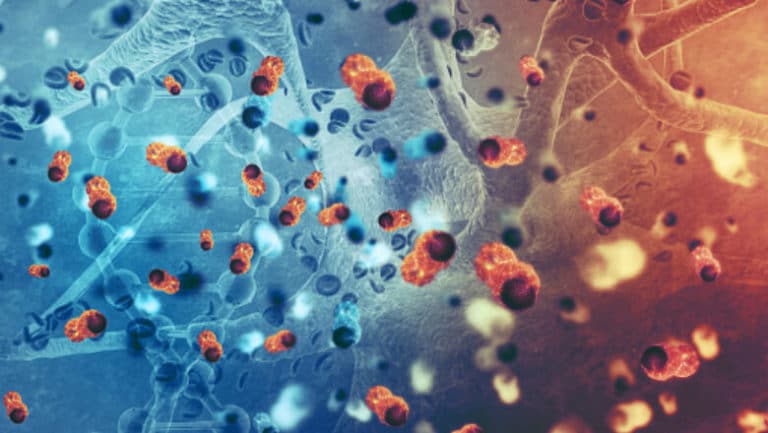 About the NCI Community Oncology Research Program (NCORP) - Gulf South